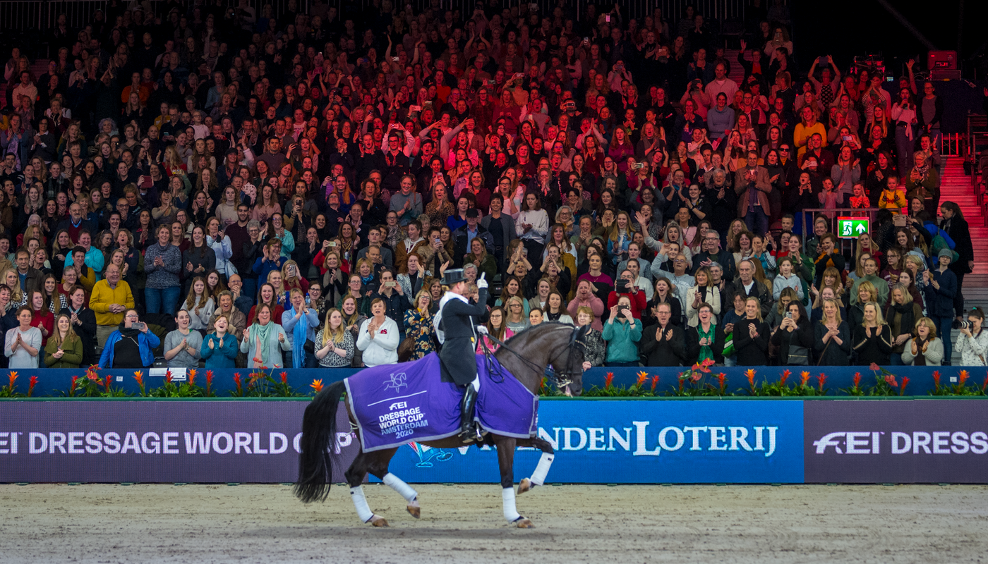 Bates Saddles | Optimise your horse's comfort and performance